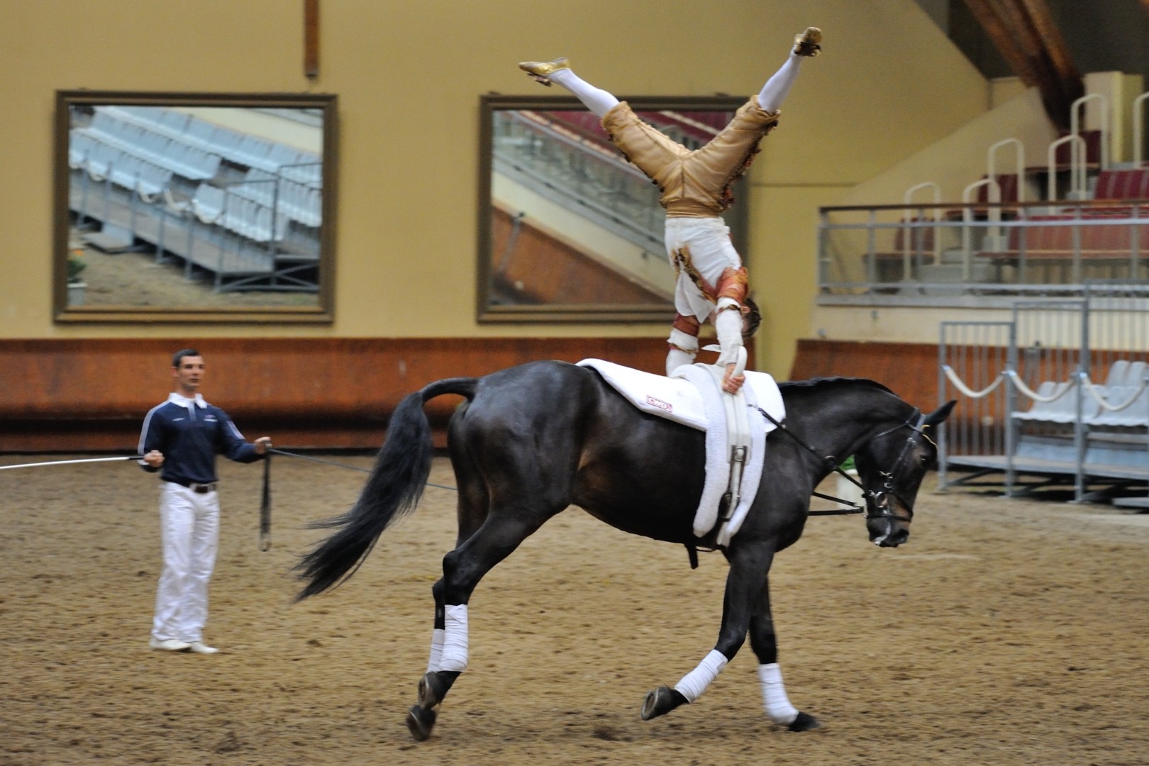 Voltige Équestre : Guide Complet pour Débuter cette Discipline Acrobatique