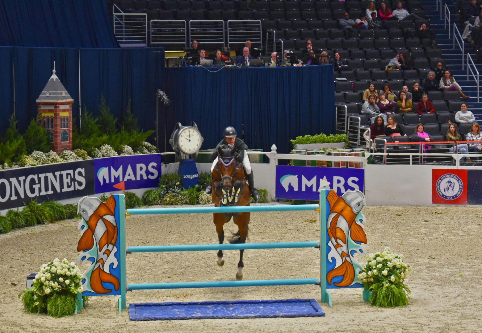 Saut d'Obstacles : Guide Complet de l'Équitation Française (2025)